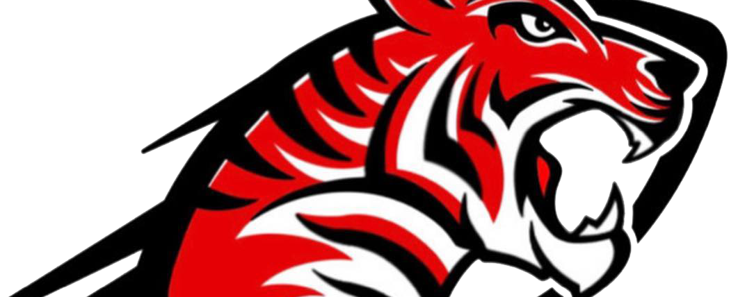 HOME OF THE RED TIGERS – N48°10.344' E16°25.514'